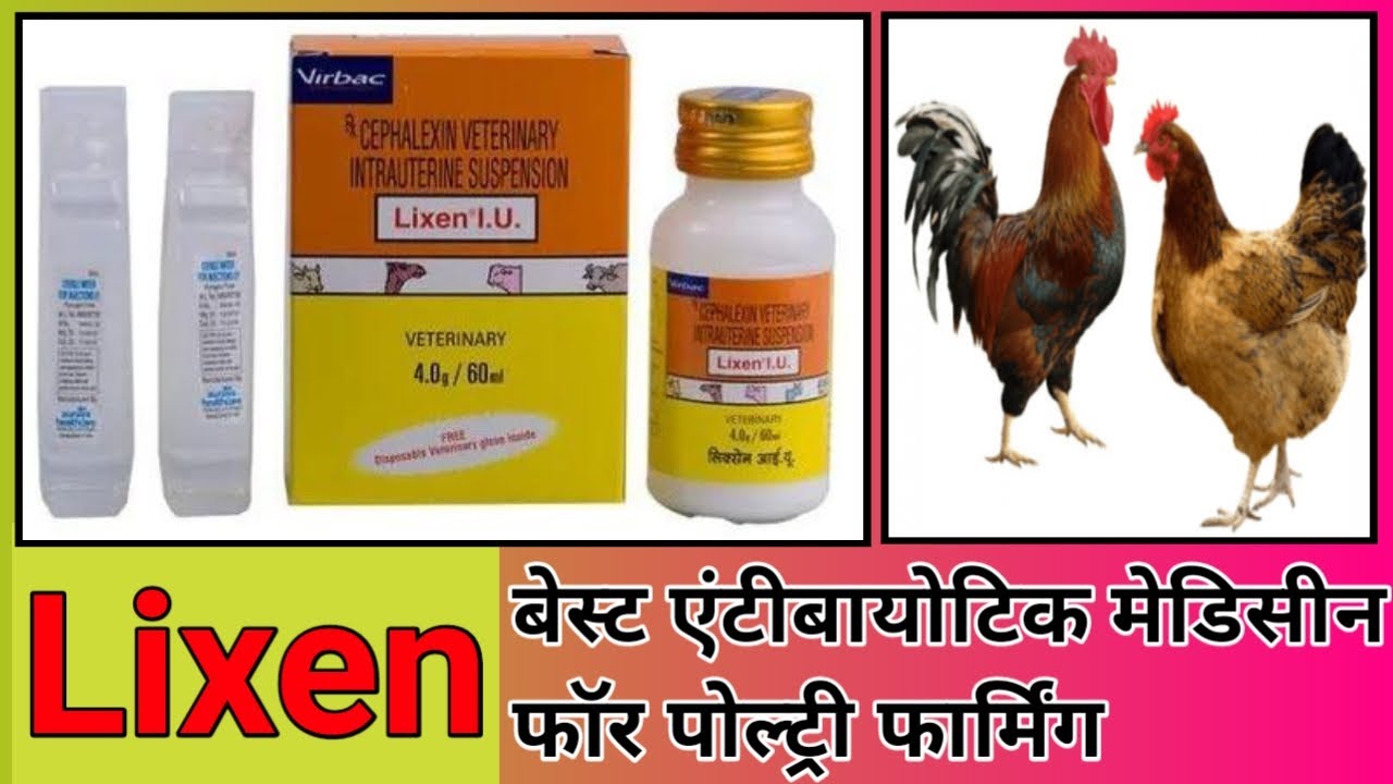 98 Antibiotics for chickens | Lixen powder uses in poultry in hindi ...