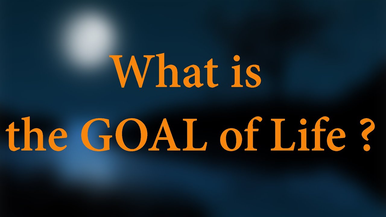 What Is The GOAL Of Life YouTube what-is-the-goal-of-life-youtube