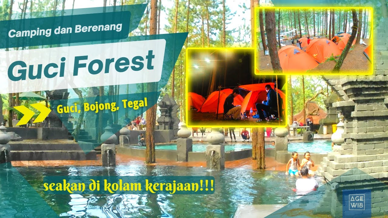 Betah dan Bikin Nagih! Camping dan Berenang di Guci Forest, Tegal, Jawa ...
