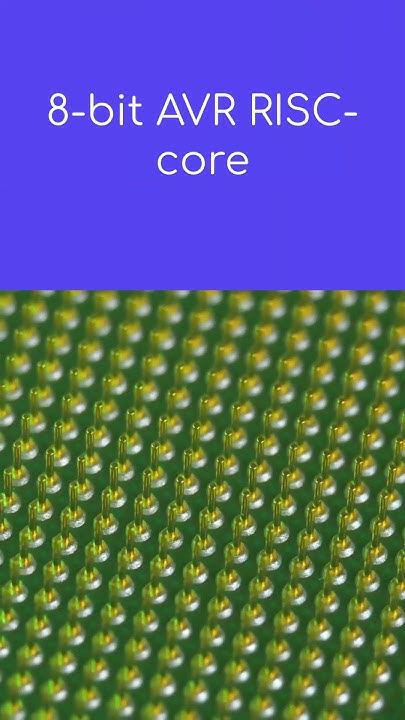 Exploring the Efficiency and Versatility of the 8-bit AVR RISC-core CPU ...