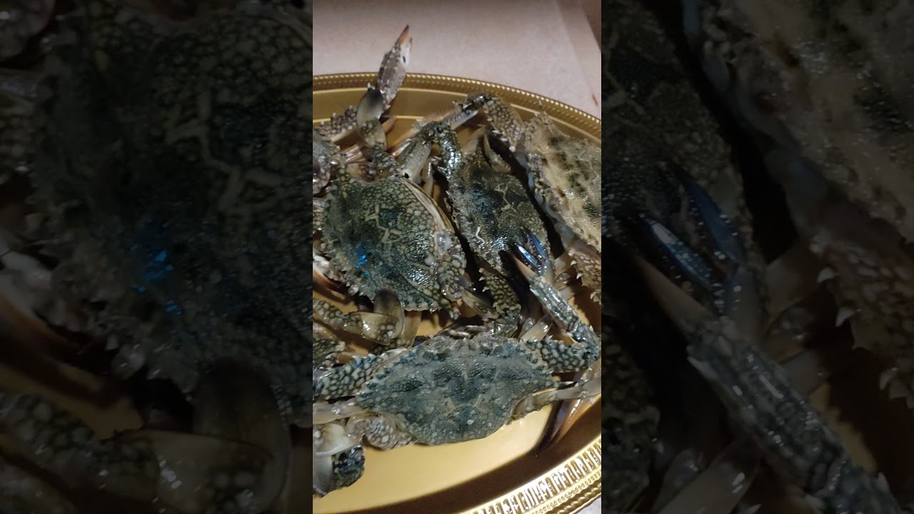 OMG CRABS OVERLOAD#shortvideo #marachannel - YouTube