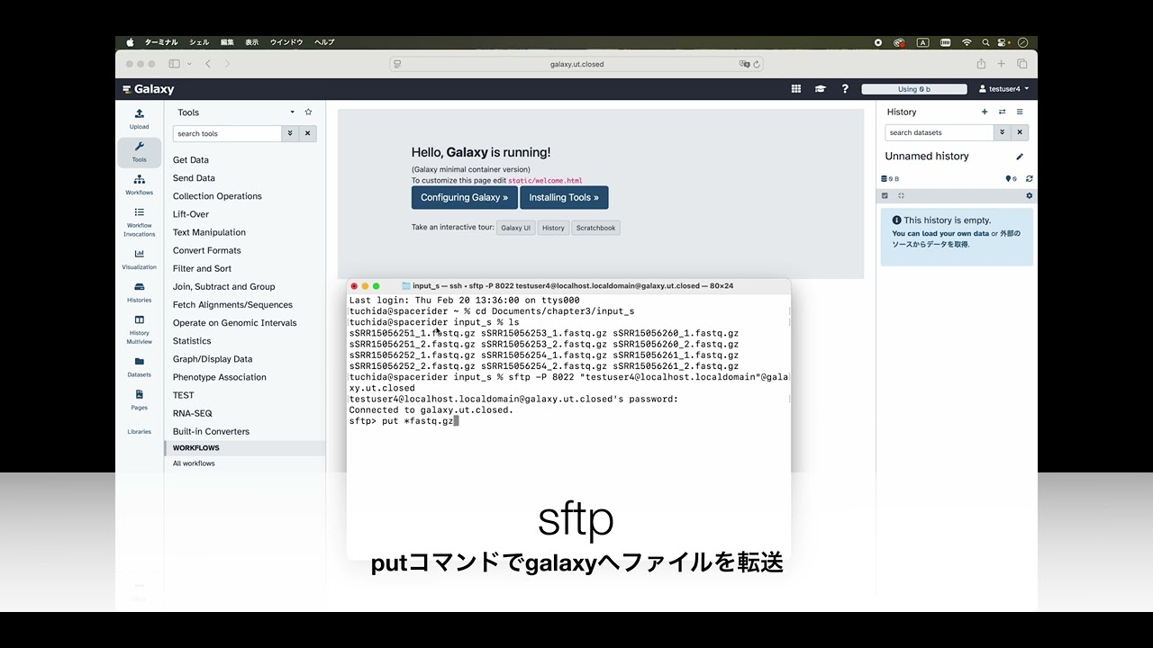 galaxy tutorial: sftp upload / 数GB以上の大きなデータをuploadできるsftpを使った方法を紹介しています ...