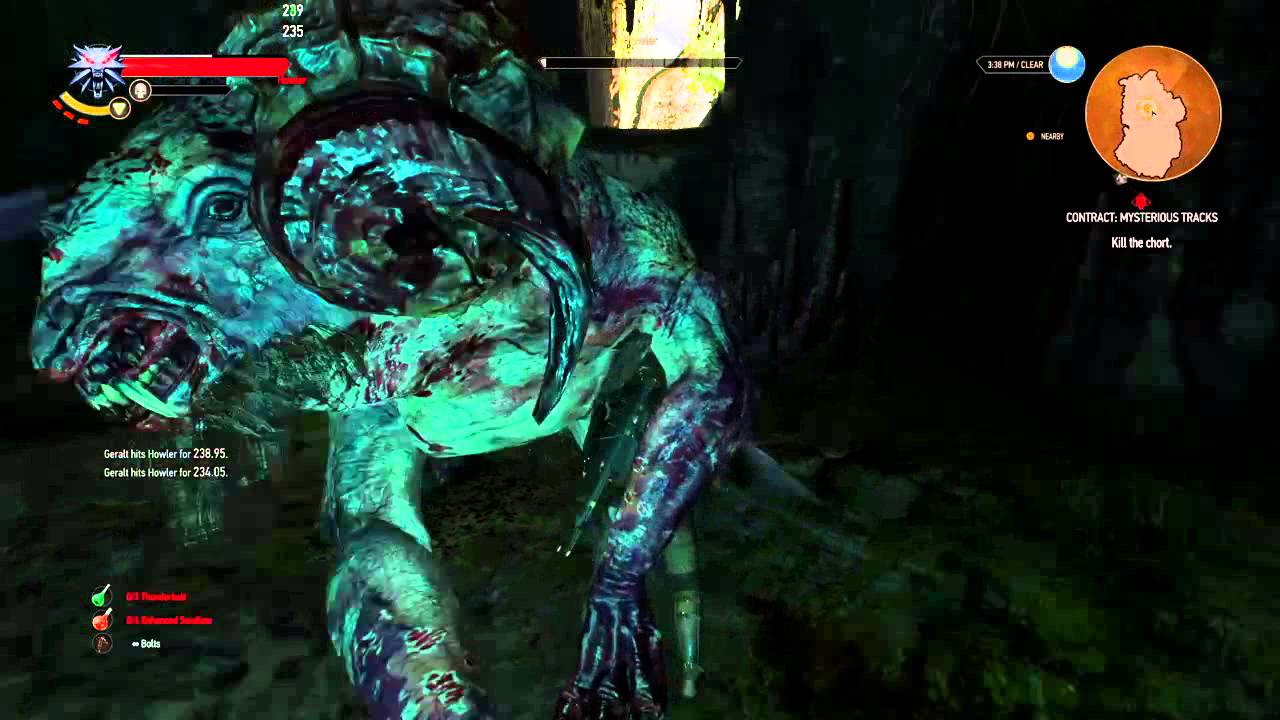 The Witcher 3(PS4) - Killing the "Howler" - YouTube