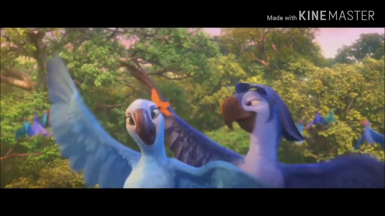 Here are some great videos made on the Rio movie part -4(14oct2019 ...