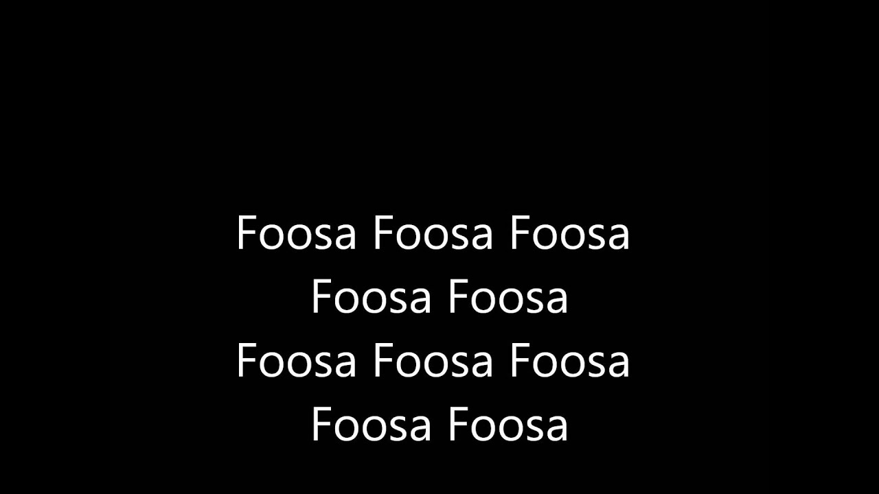 the foosa attack lyics - YouTube