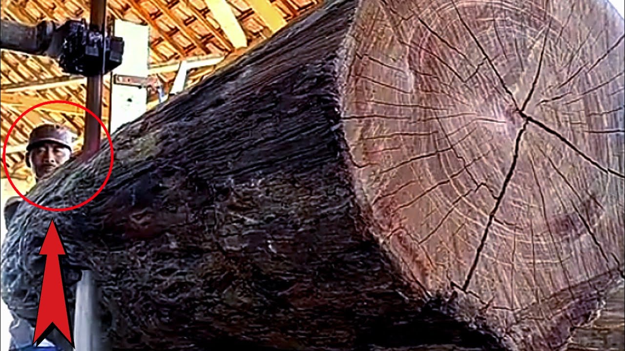 Destroyed Saw Blade || sawmill Completely paralyzed - YouTube