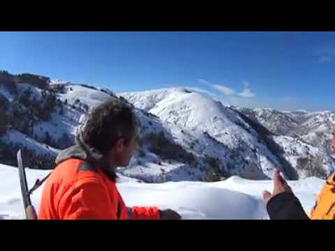 13.01.2019 Snow,wild boar, hunter.DOMUZ AVI GUMUSHANE