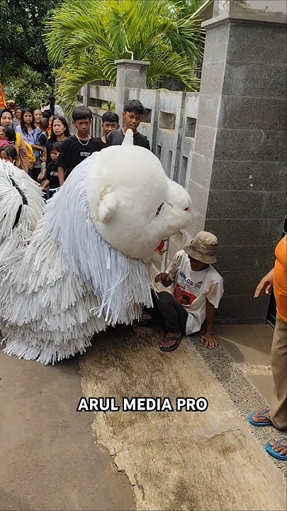 bapa bapa mau di gigit can macanan - YouTube