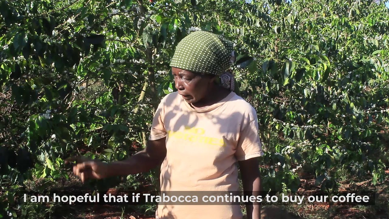 Ruth Mithamo of Ndaroini Coffee Ltd. talks about the impact of higher ...