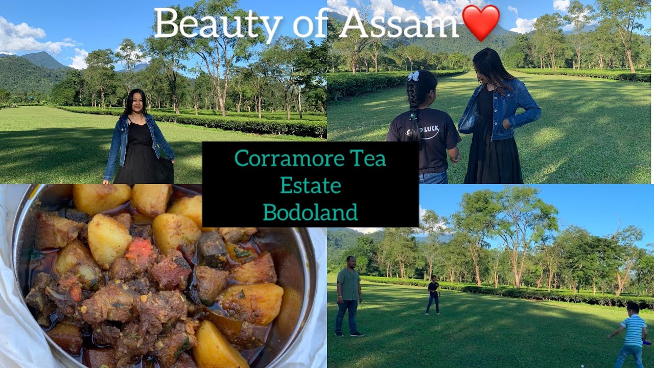 Corramore Tea Estate | Assam | Udalguri📍 - YouTube