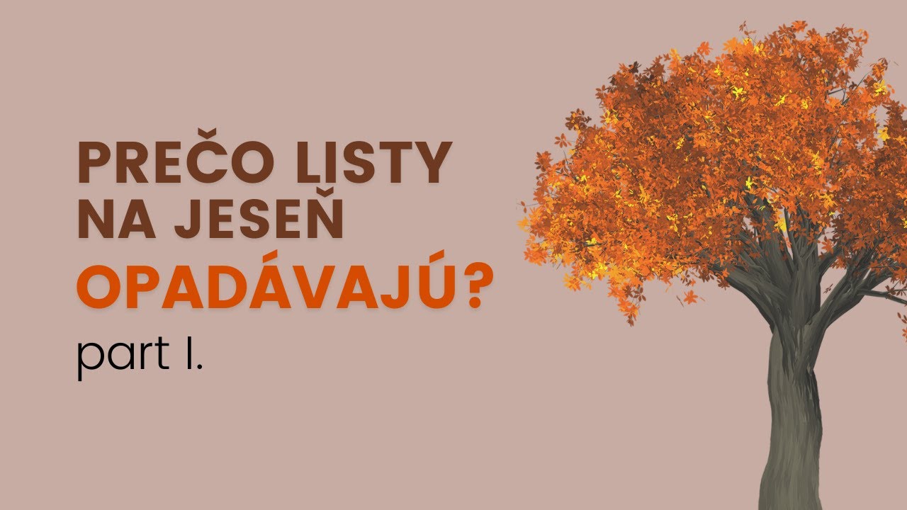 Prečo listy na jeseň opadávajú? - YouTube