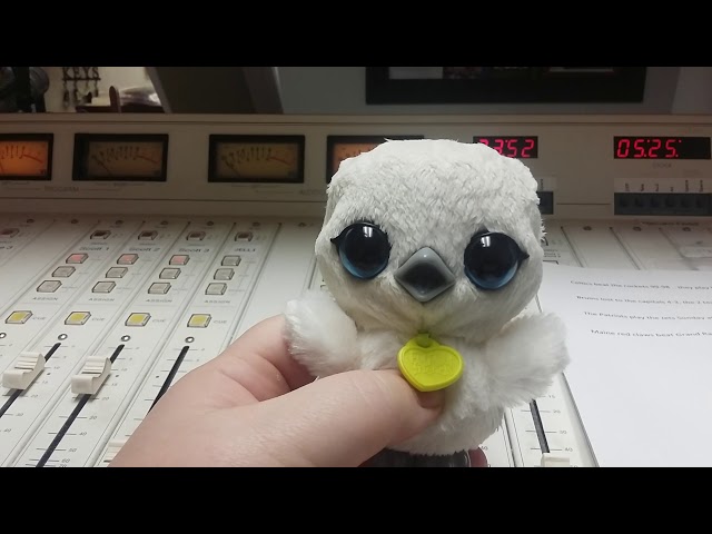 Furreal Friends Owl Discover FurReal Irresistibly Cute, Interactive,