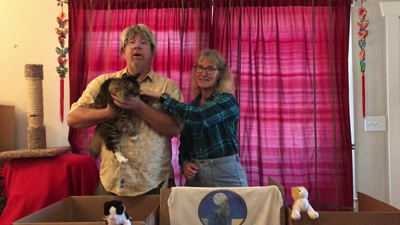 Whiskers R We for Lisa Finlay - YouTube