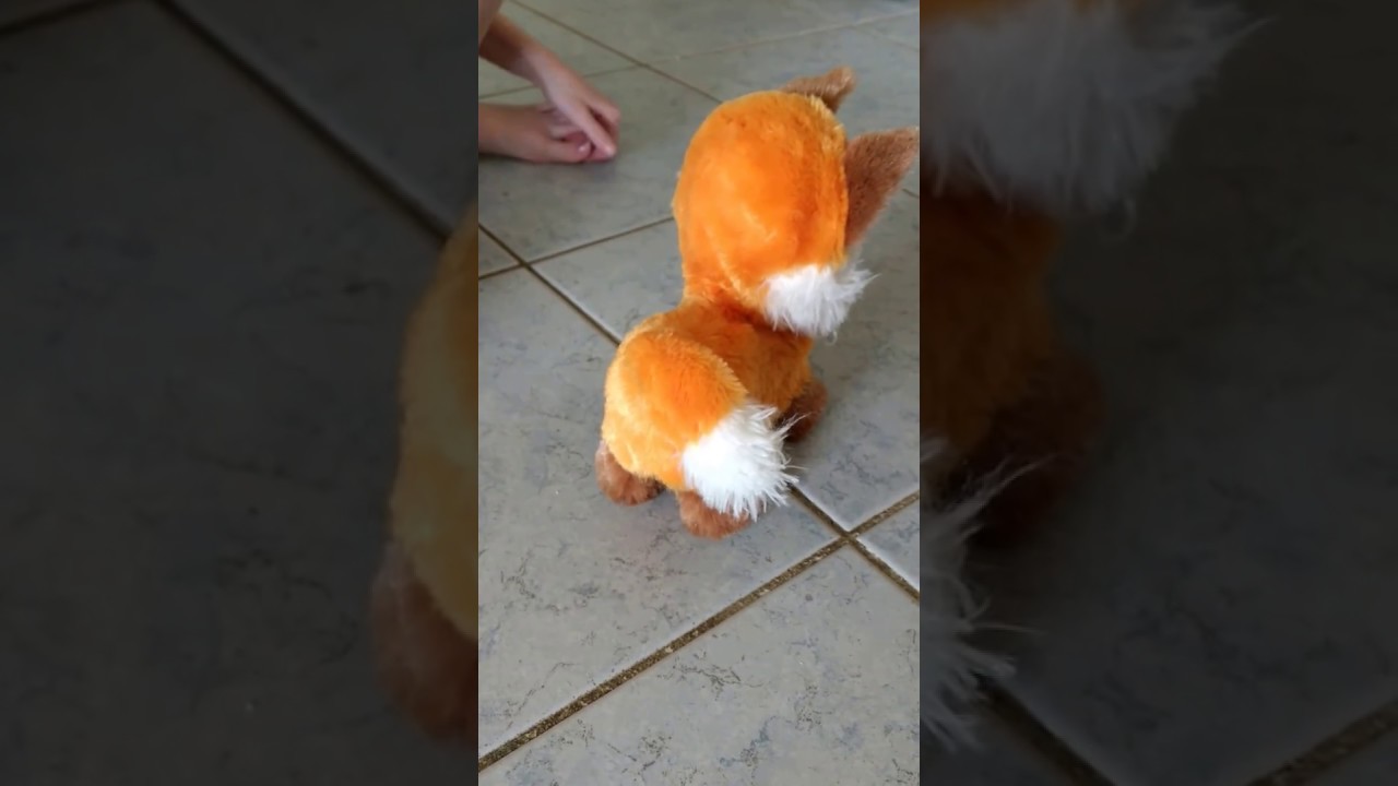 FurReal Friends Roxie Fox - YouTube