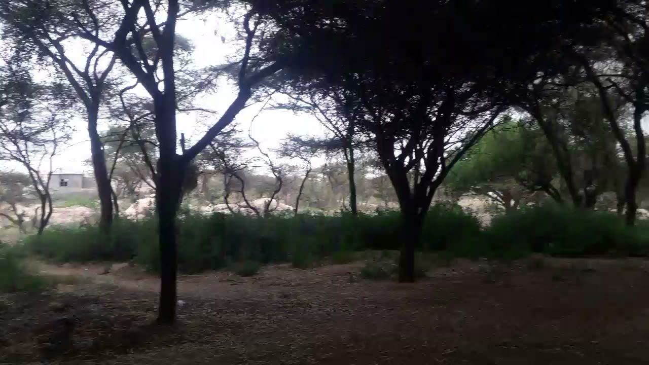 Geed deeble - YouTube