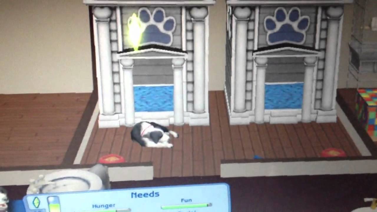 The Sims 2 Pets: My Dog Gives Birth - YouTube