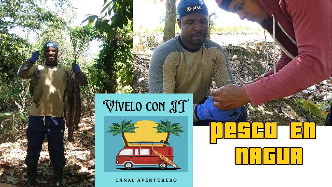 Pescando Pez Gato en Nagua - YouTube