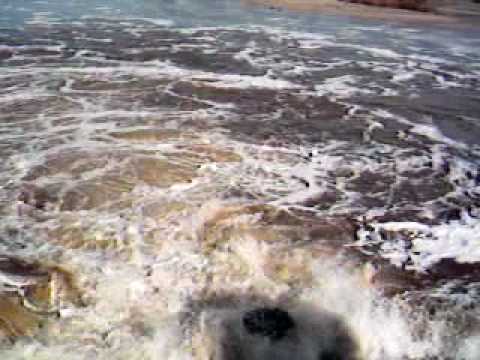 The adventures of Radical Randy - YouTube