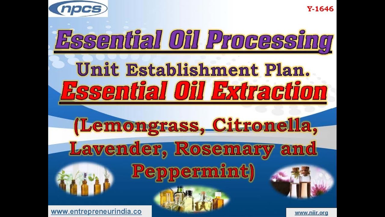 Essential Oil Processing Unit Establishment Plan. - YouTube