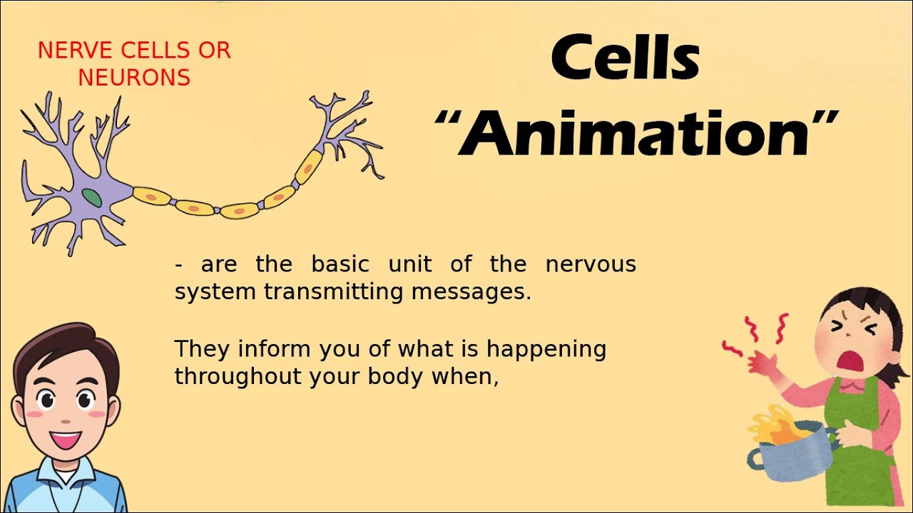 CELLS | Biology Animation - YouTube
