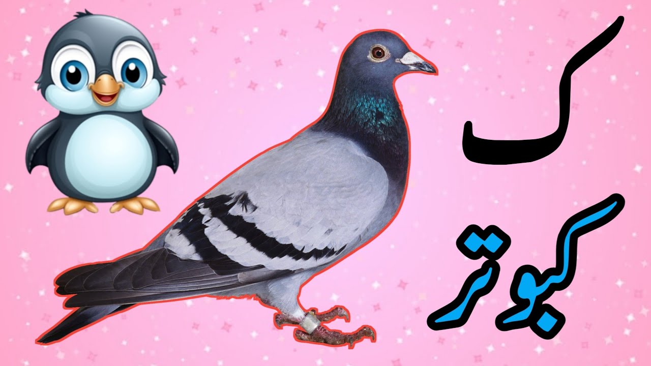 Learn Alphabet Online,Alphabets,Learn ABC,Alif Bay pay Alphabet,Alif ...