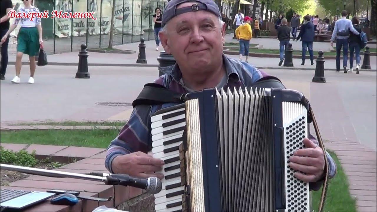 ГОЛУБКА!!! - YouTube