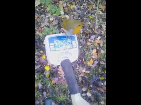 My new metal detecting buddy - YouTube
