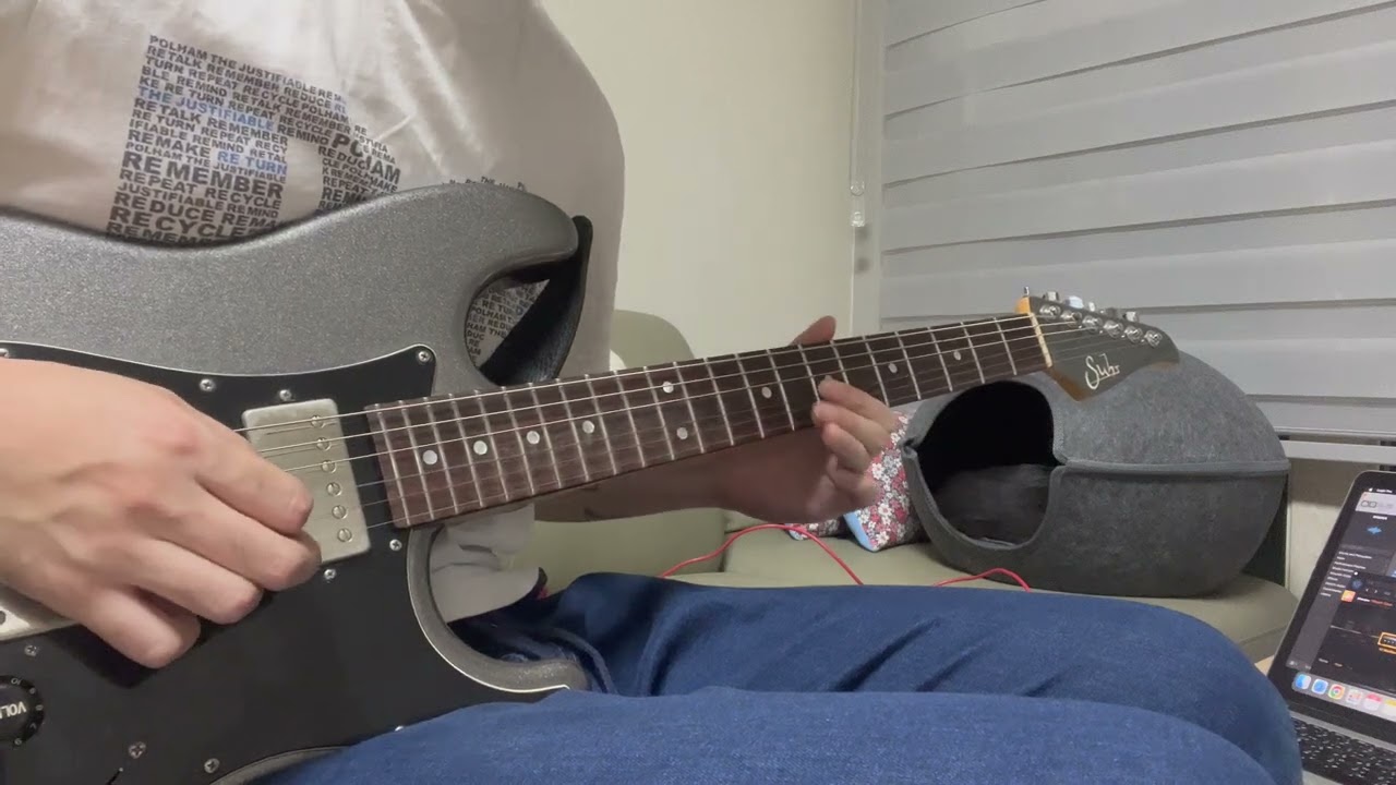 NELL(넬) - Vain hope(희망고문) Guitar Solo Cover - YouTube