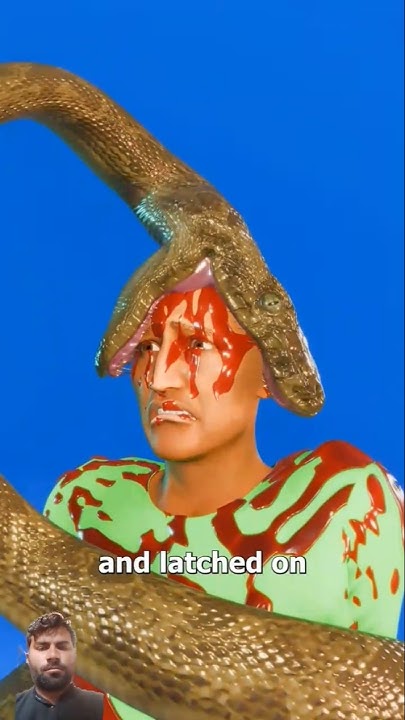 How to let snake eat Human 😮 #shorts #zackdfilms - YouTube