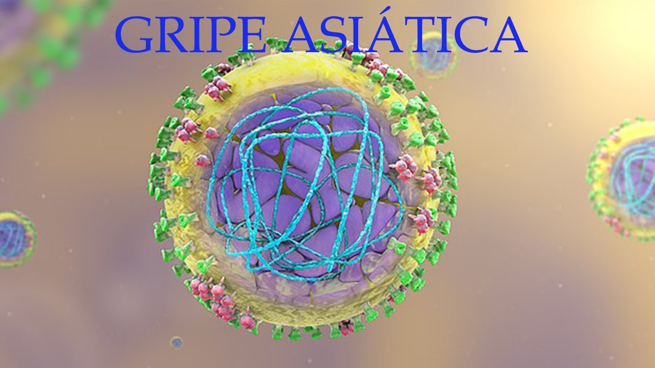 GRIPE ASIÁTICA: a epidemia esquecida - YouTube