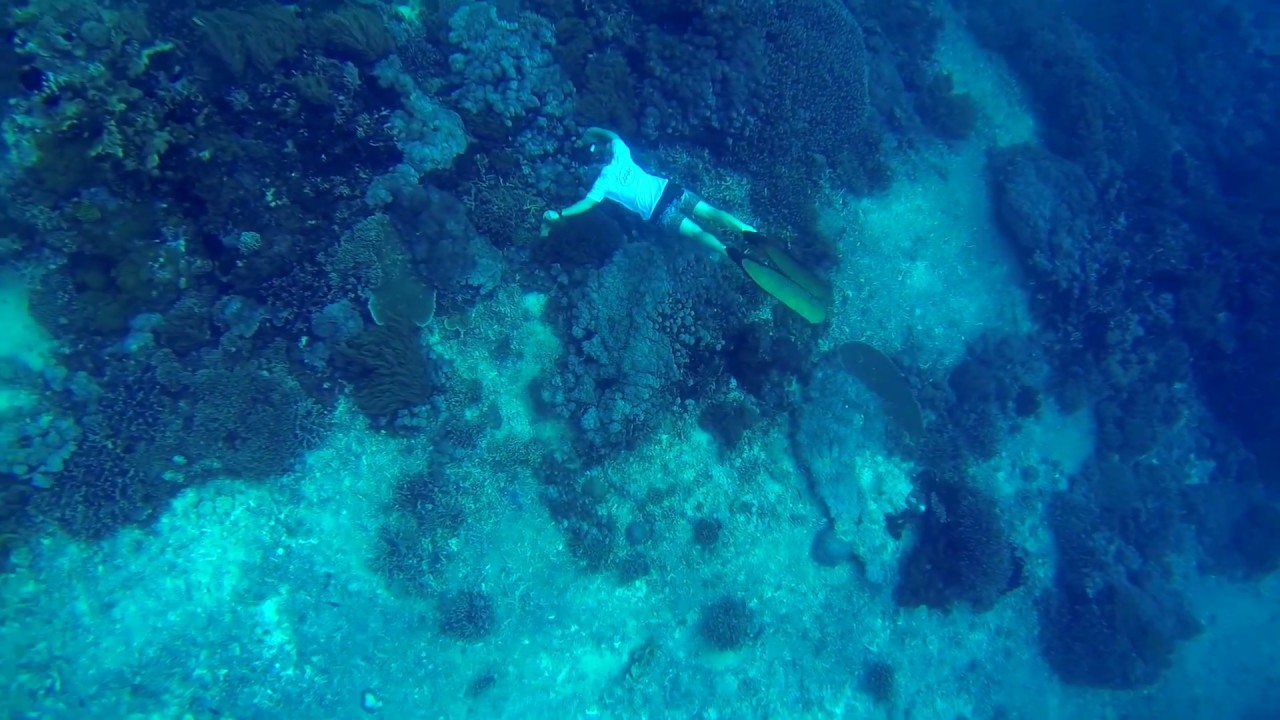 Drifting In Indonesian Currents at Mangrove Point, Nusa Lembongan off ...