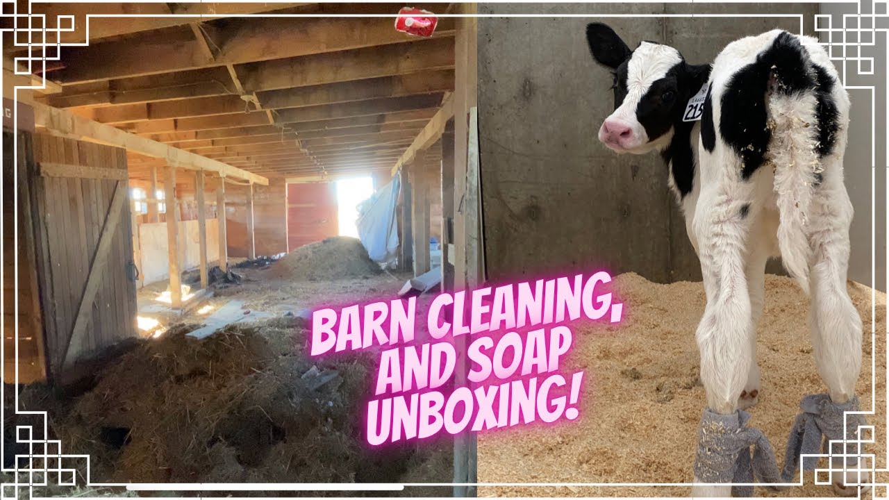Cleaning the Big Red Barn + @zioncreekfarm Sent Me Soap! - YouTube