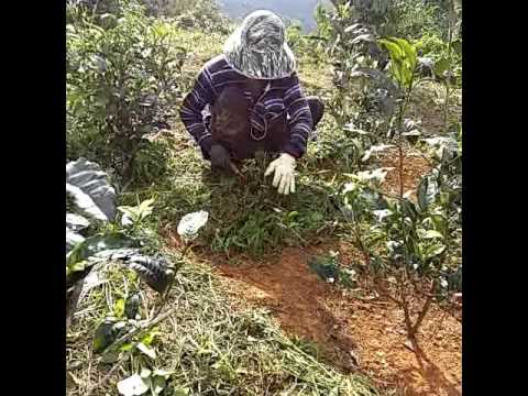 bocah koplak bejad....