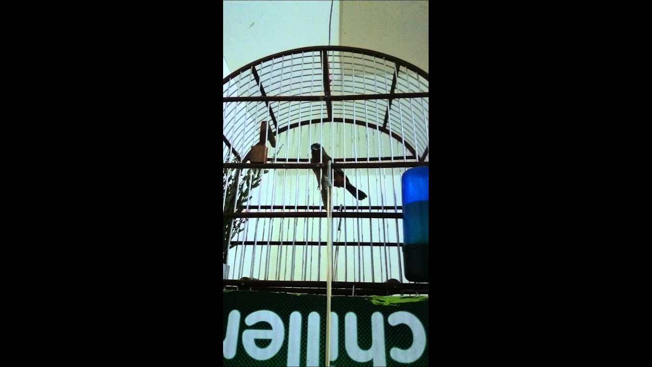 Kroon rowtie - YouTube