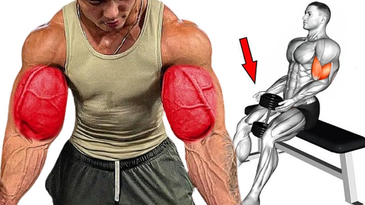 Perfect Workout to Grow Wider Biceps - gymworkout8032 - YouTube