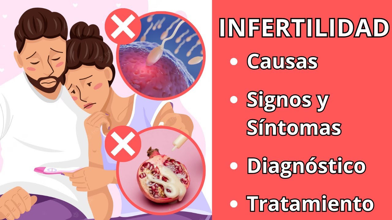 INFERTILIDAD - Causas, signos y síntomas, diagnóstico y tratamiento ...