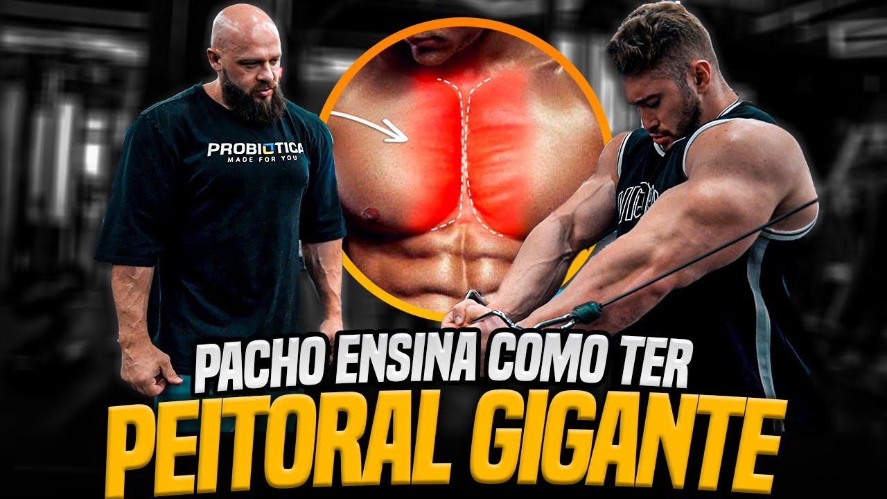 TÉCNICAS PARA CONSTRUIR UM PEITORAL GIGANTE | FABRICIO PACHOLOK - YouTube
