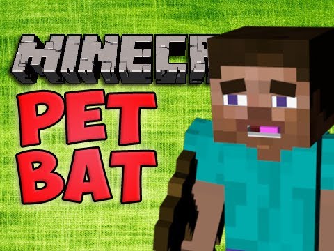 Minecraft PET BAT Mod | Episode 1012 - YouTube