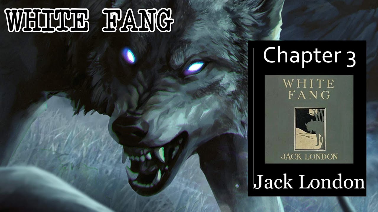 White Fang - Ch 3 |🎧 Audiobook with Scrolling Text 📖| Ion VideoBook ...