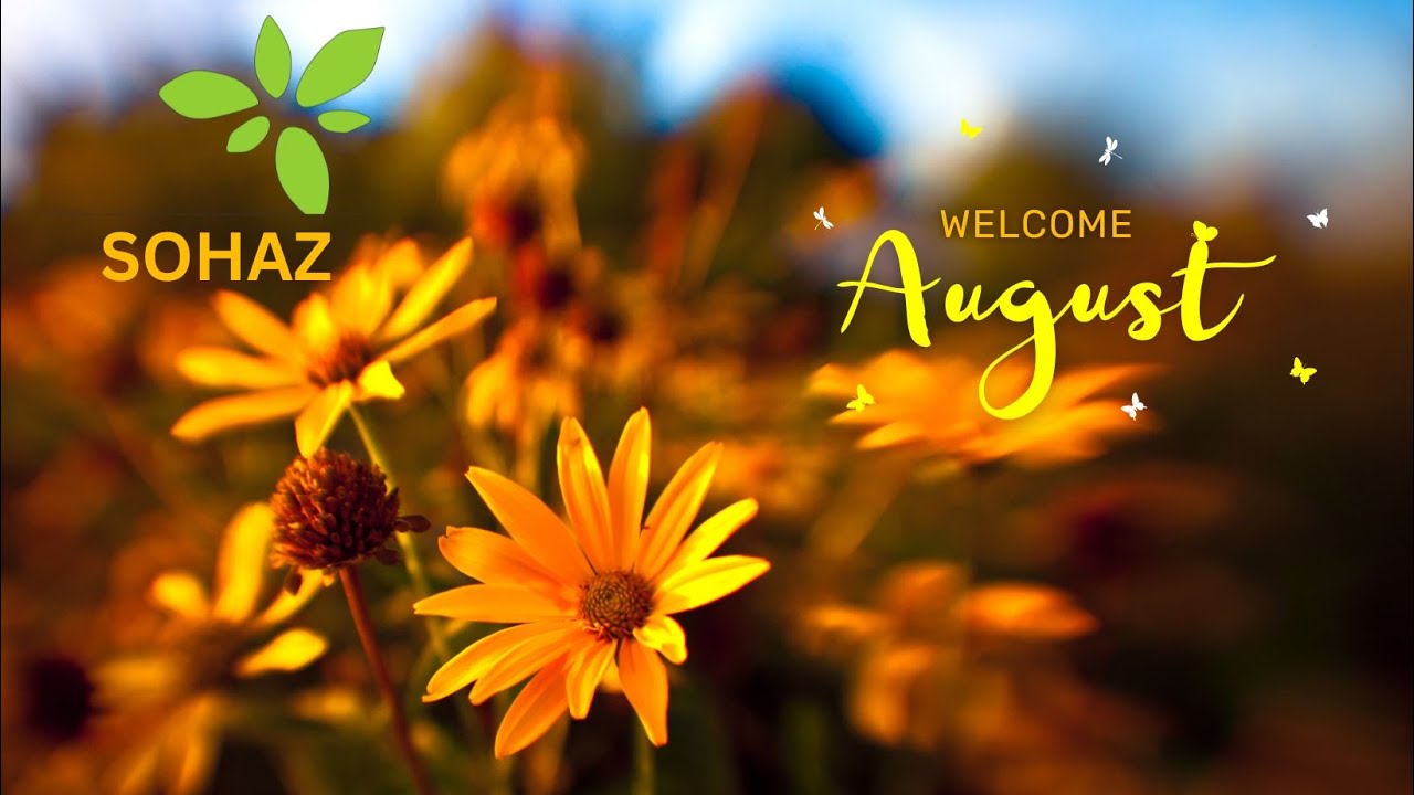 #UAE# Dubai Rates August 01, 2023, (Sohaz Foodstuff Trading) - YouTube