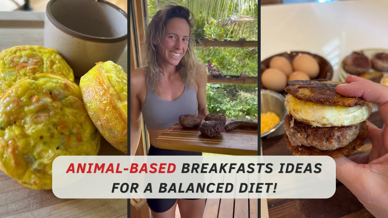 Animal-Based Breakfasts Ideas for a Balanced Diet! - YouTube
