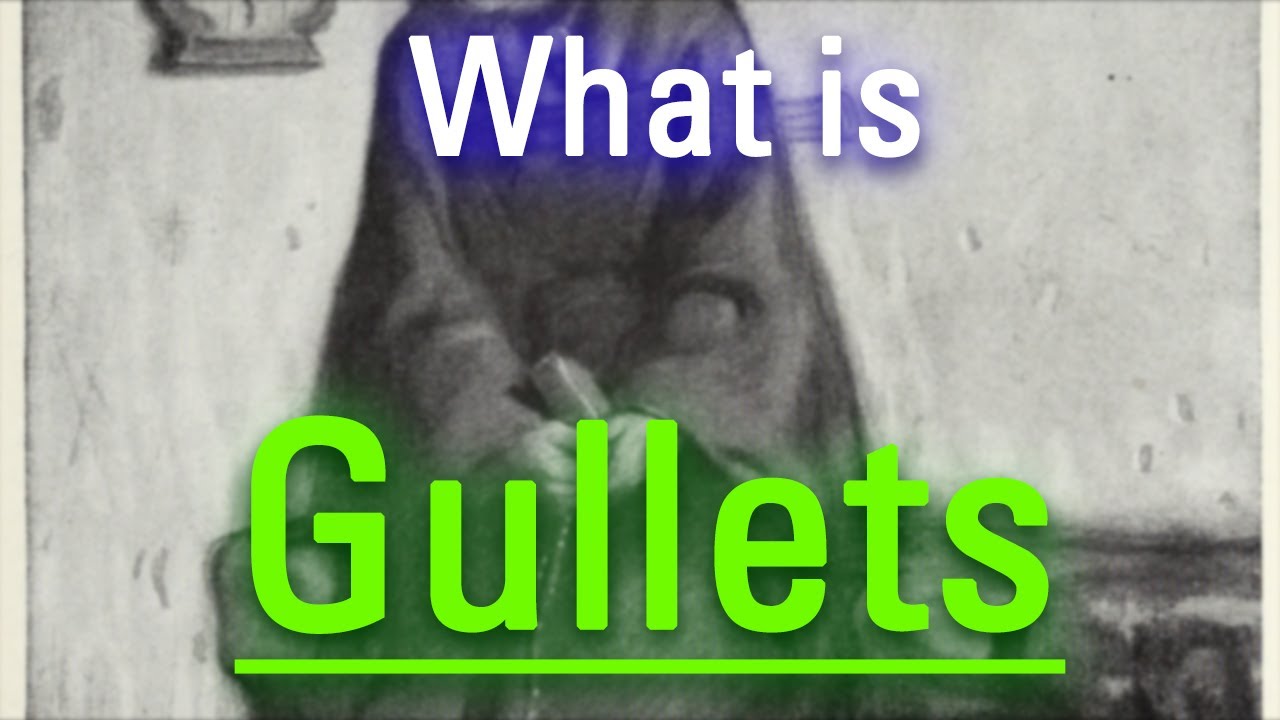 How to Say Gullets in English? | What is Gullets? | How Does Gullets ...