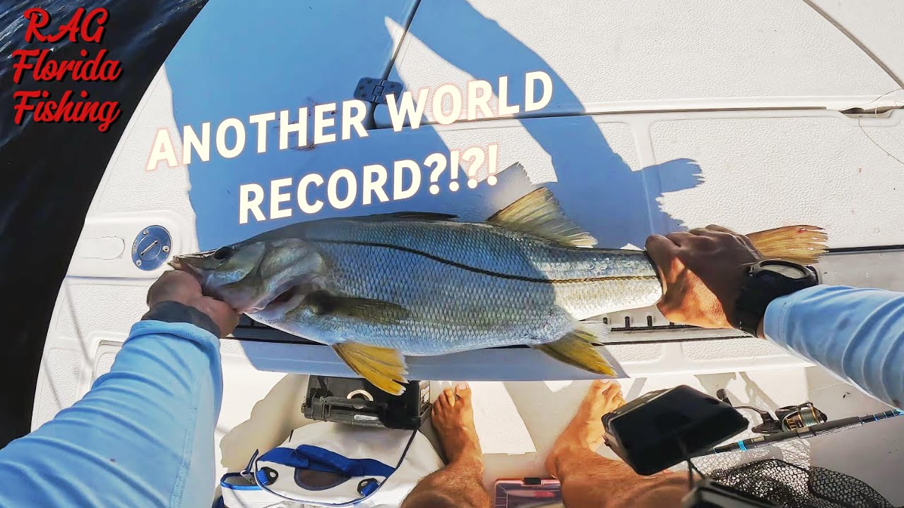 DID I BREAK THE FAT SNOOK WORLD RECORD?!?!?! Fishing Docks and Seawalls ...