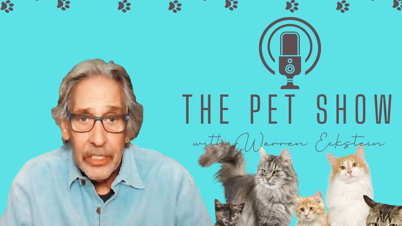The Pet Show Update 11 4 22 YouTube the-pet-show-update-11-4-22-youtube
