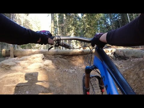 Waldegg Trail / full Trail / Waldegg Trail / Canyon Torque CF 9 / Nevio Luder - YouTube