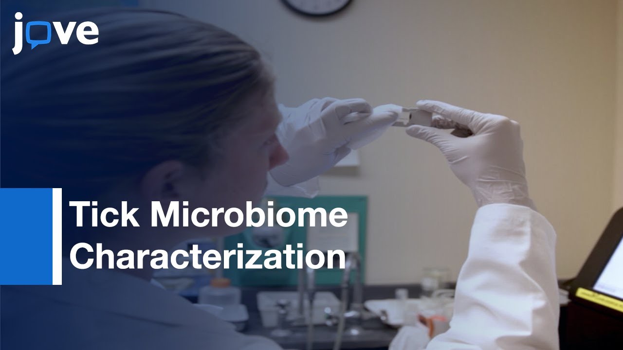 Tick Microbiome Characterization By Next-Generation 16S rRNA Amplicon ...