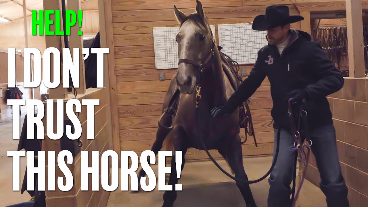 OUT OF MY ELEMENT, HELP! - YouTube