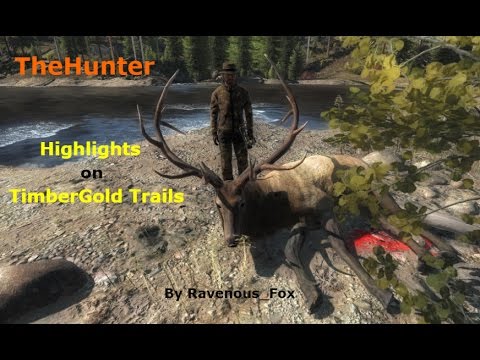 TheHunter - Highlights on TimberGold Trails - YouTube