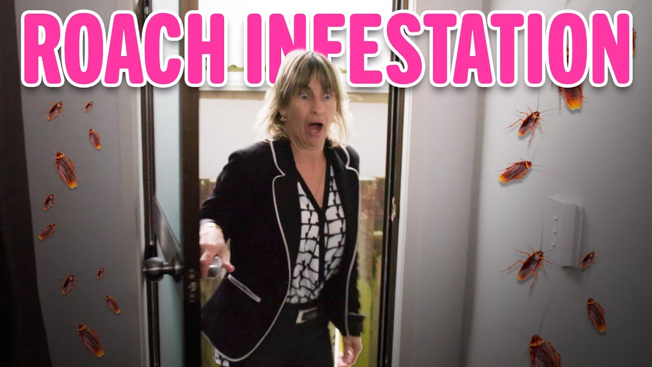 ROACH INFESTATION! Can They Get Rid Of The PLAGUE?! - YouTube