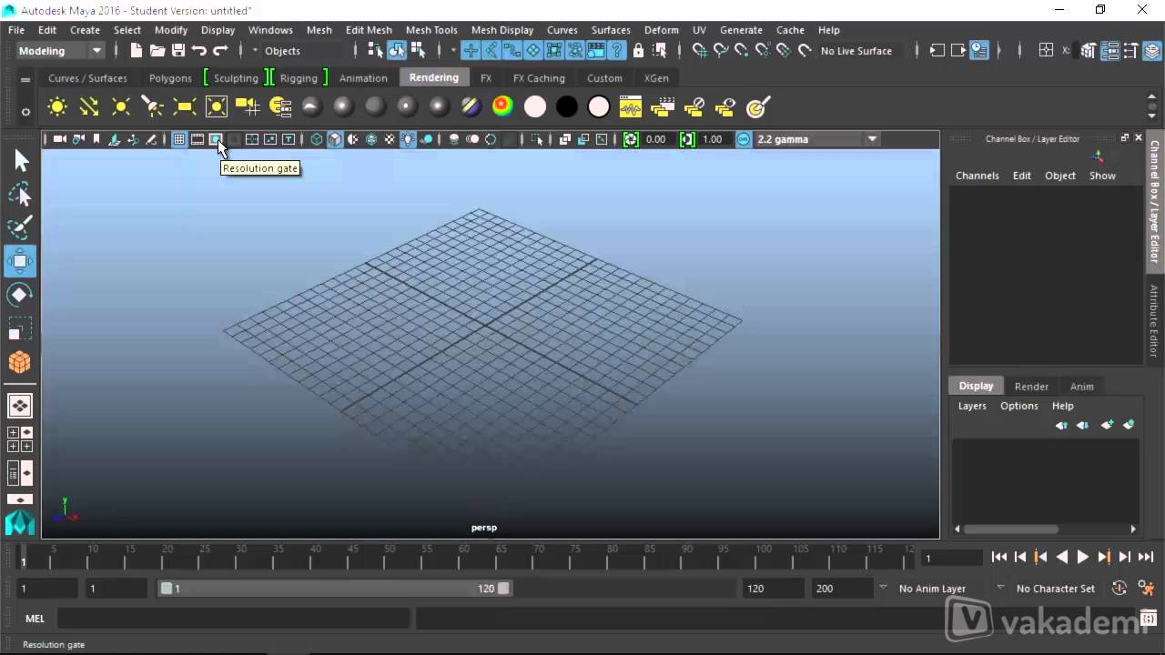 Autodesk Maya'da Grid, Film Gate, Resolution Gate... Fonksiyonları ...